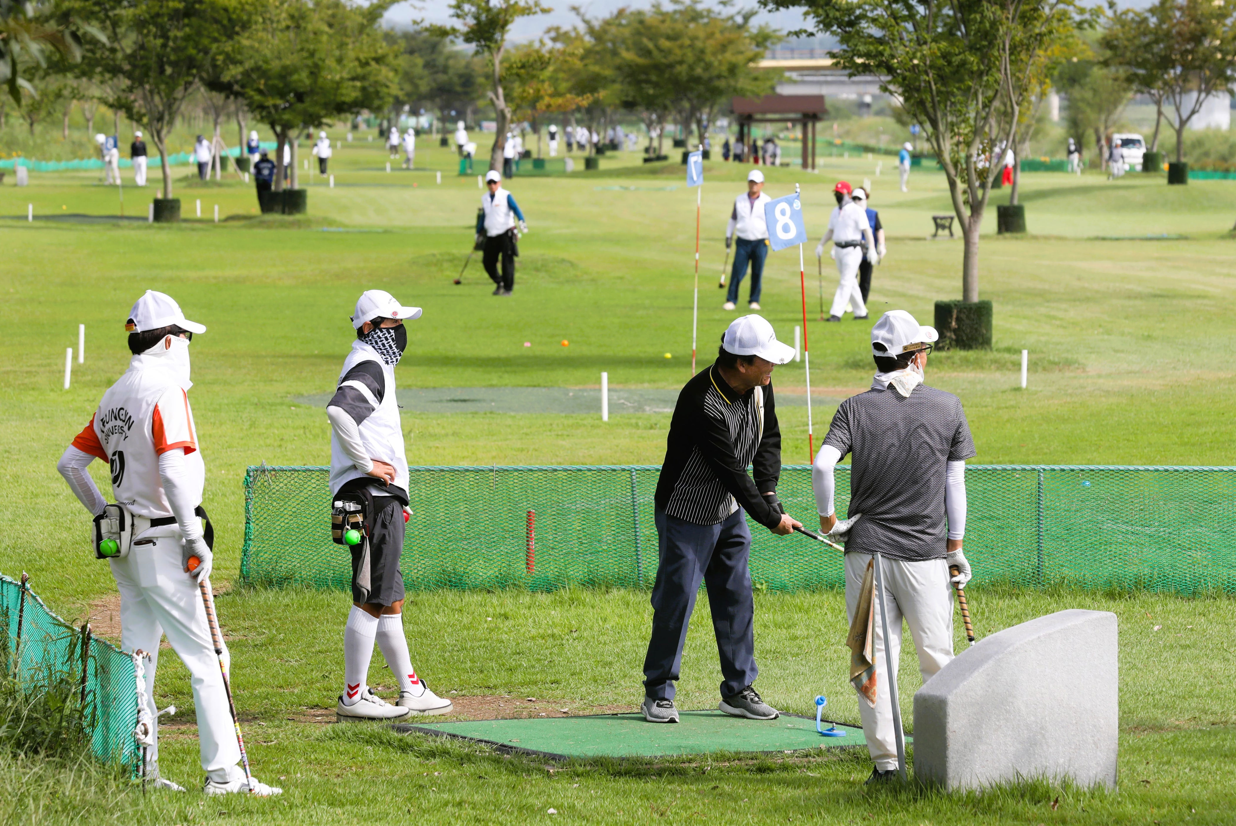 Park Golf Boom: 500 Tournaments, University Departments Emerge