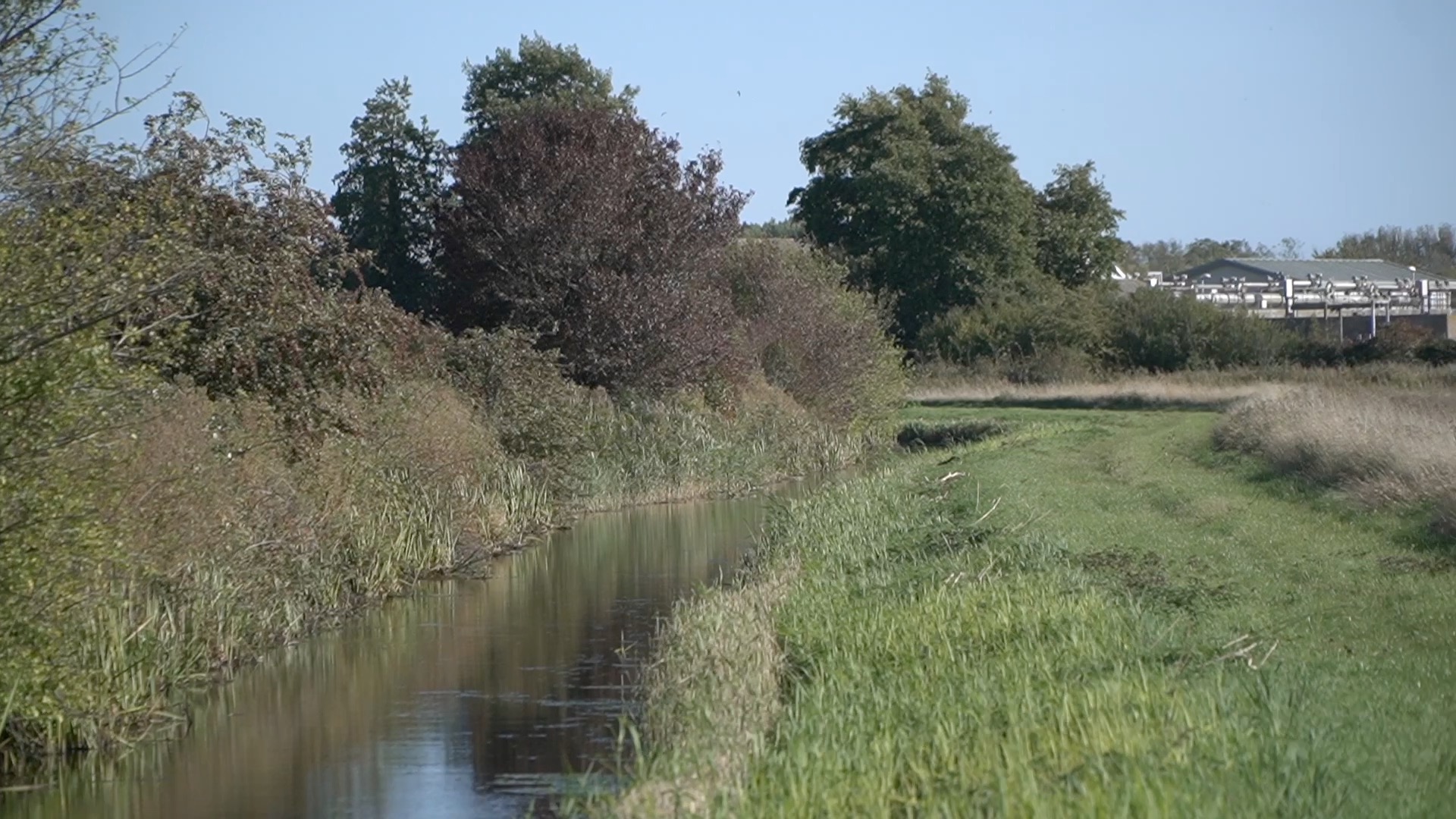 Minster Marshes marked for controversial development despite local outrage