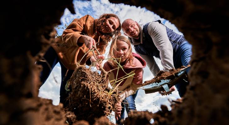 Americans' credit scores have been tumbling — but 1 group is currently ...