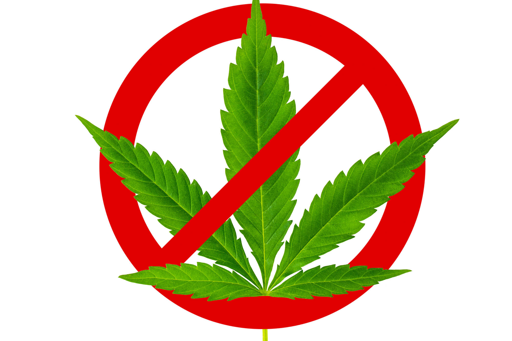 Black Diamond council bans marijuana — again
