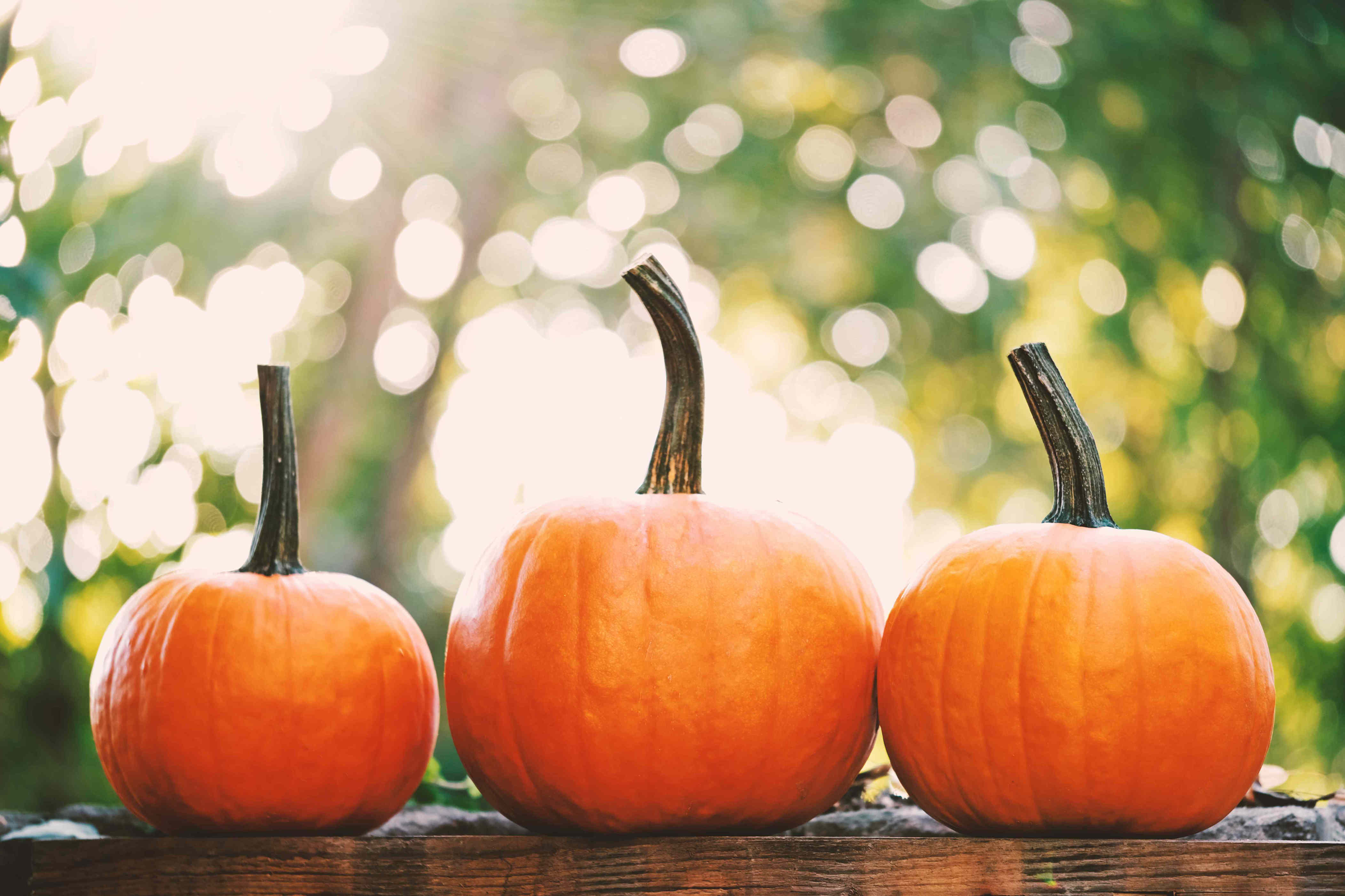 How to Make Pumpkins Last Through Fall—Even After Carving