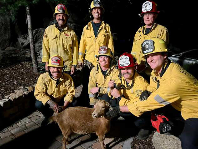 Firefighters rescue goat trapped between boulders in San Diego County