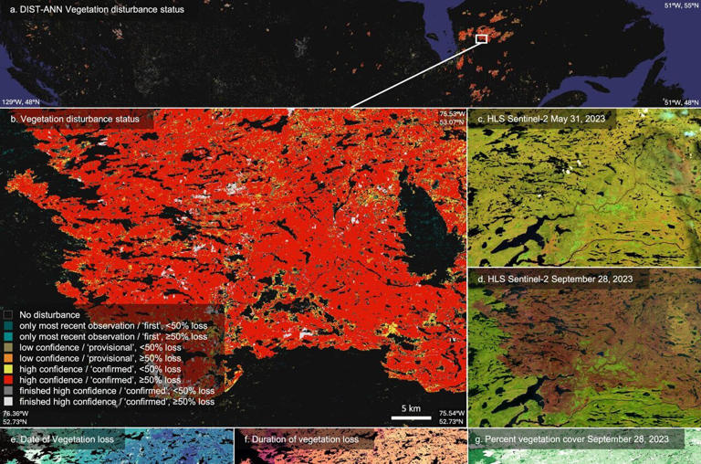 First system to track near-real time changes to global land cover created