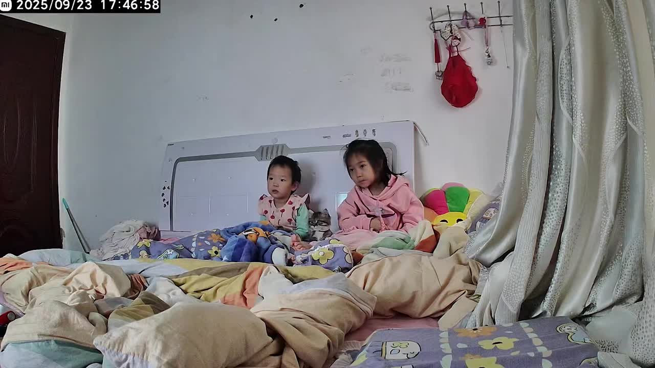 Affectionate kitten watches cartoon on bed with toddlers