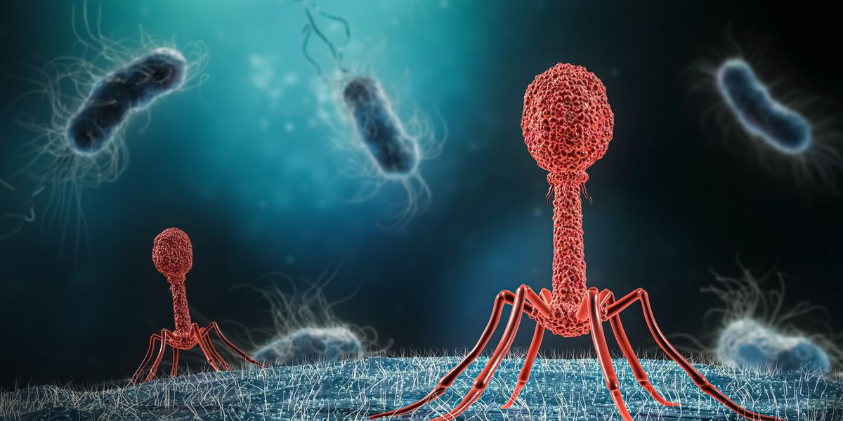 Superbugs Are Threatening the Human Race. This Technique Could Help Us ...