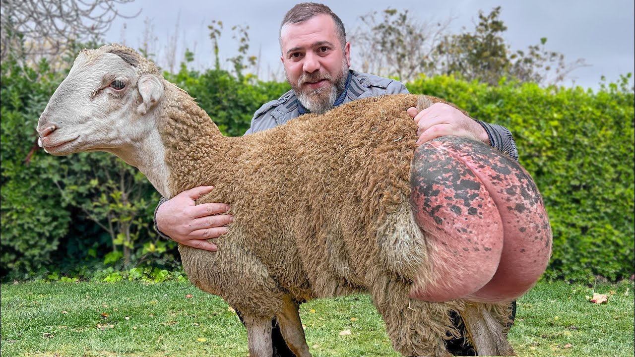 Traditional Lamb Soup Cooked in Clay Pots