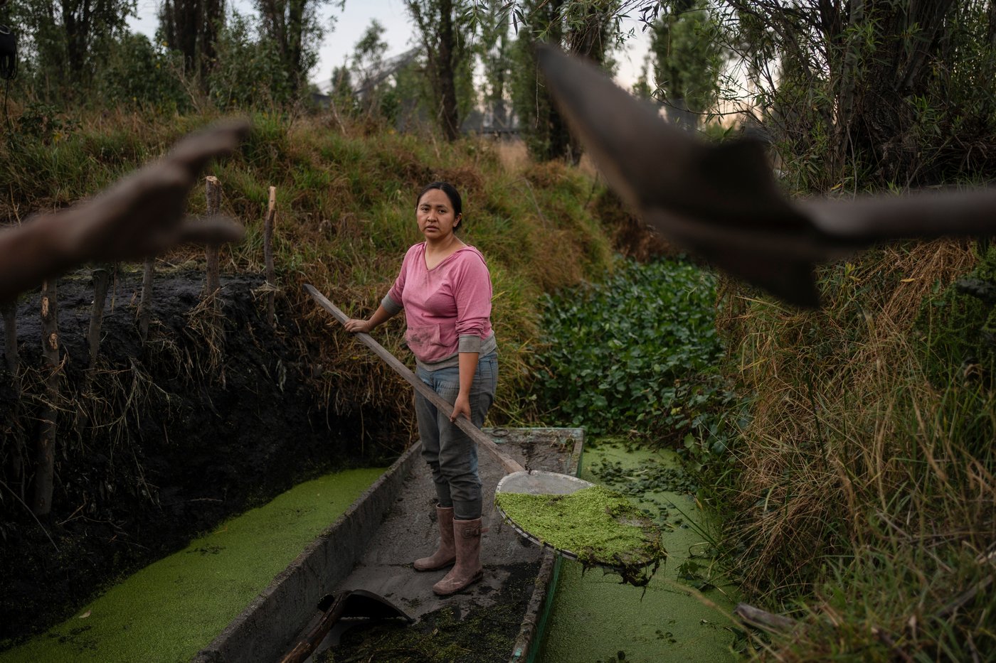 Women in Mexico step up to protect ancient Aztec farms and save a ...