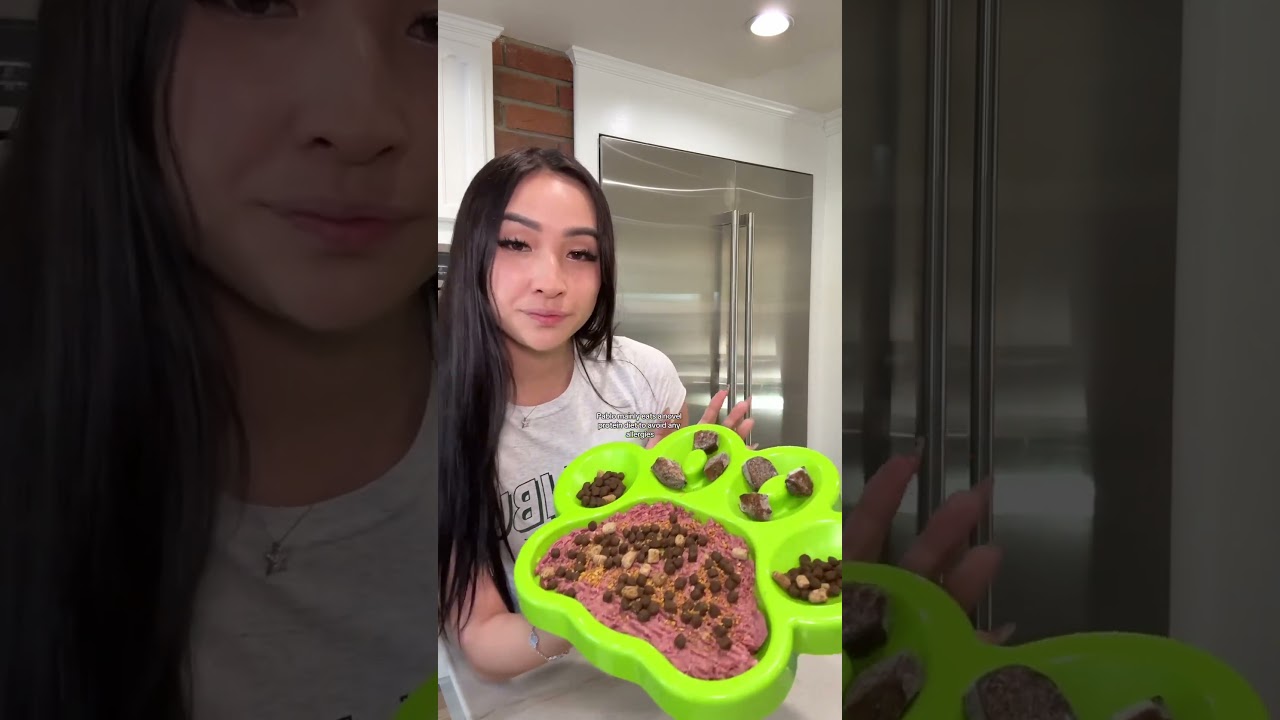 Watch a three-year-old French bulldog enjoy feeding time