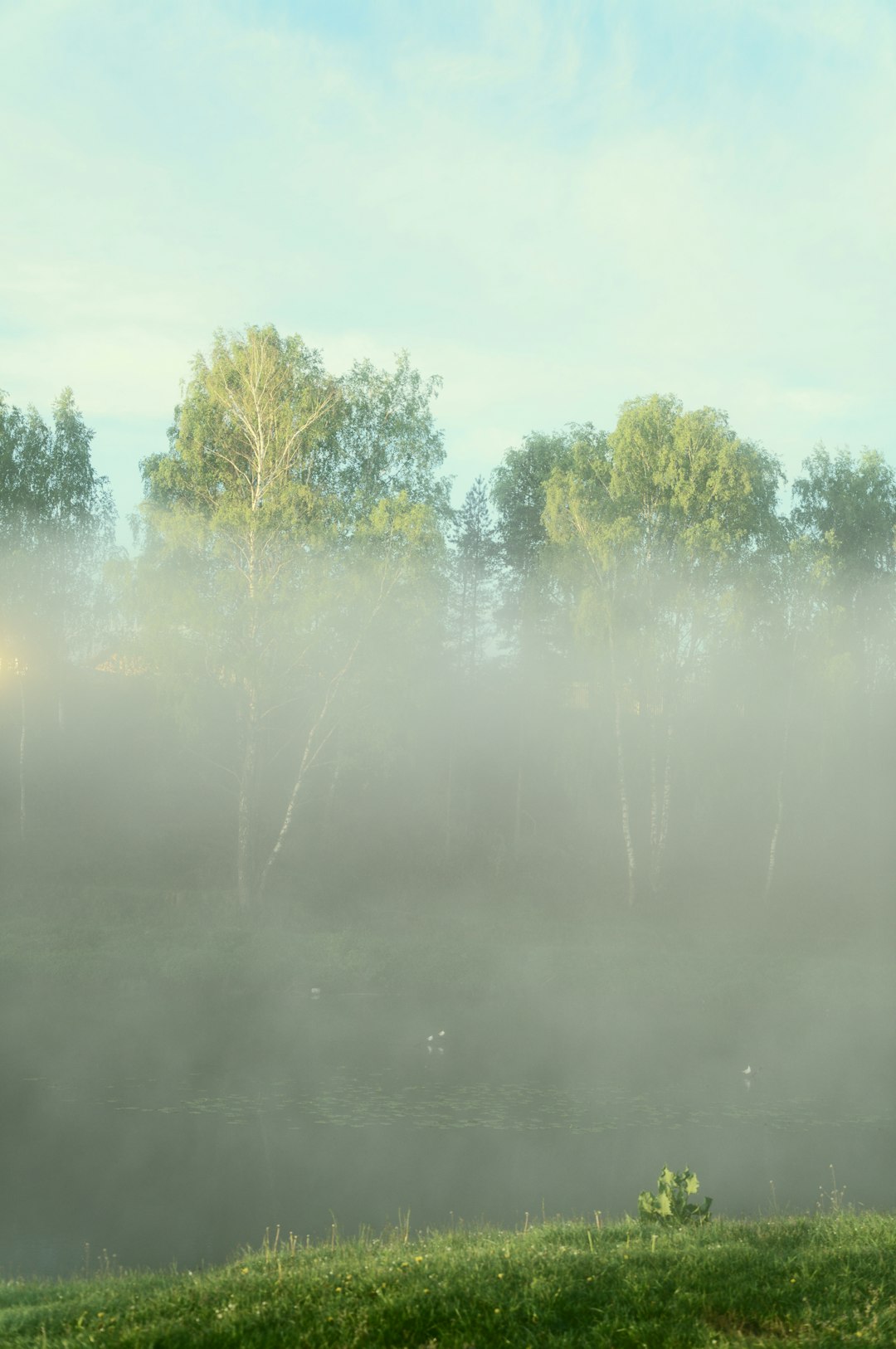 The Science Behind Fog - And Why It's Hard to Predict