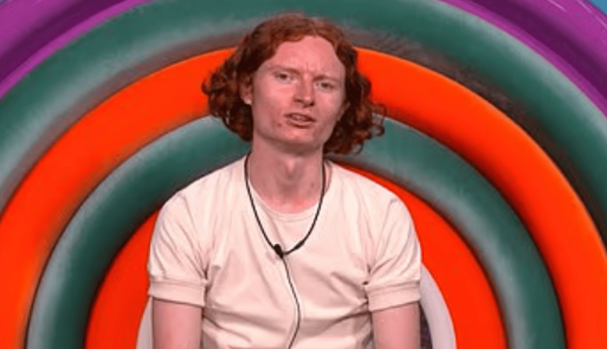 Big Brother: Who are the contestants and who has left?
