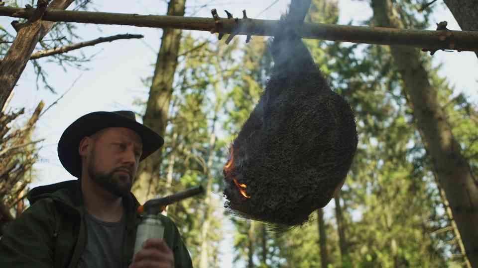 Giant Wild Boar Burger Cooked Over Open Fire