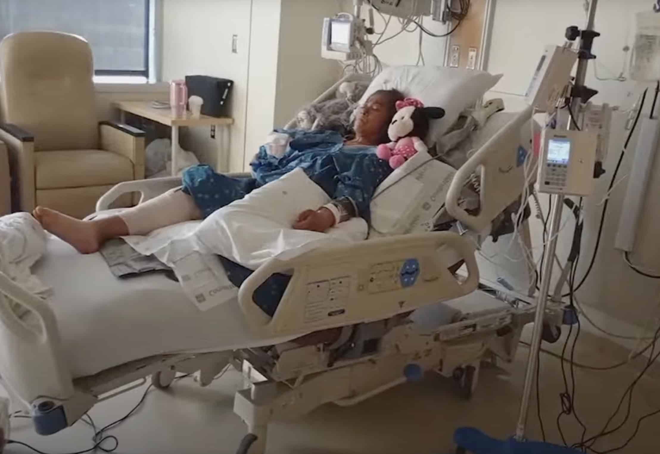 Woman Loses All Her Limbs After Pitbull Attack, and 12 Other Red Flags ...