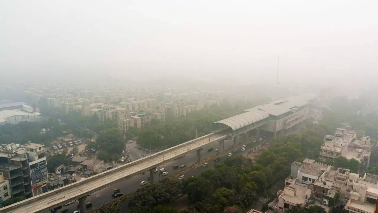 8 indoor plants to beat winter smog and keep your home air clean