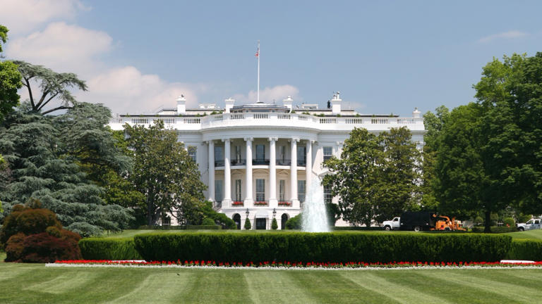 Why a gold Trump statue holding Bitcoin appeared in DC