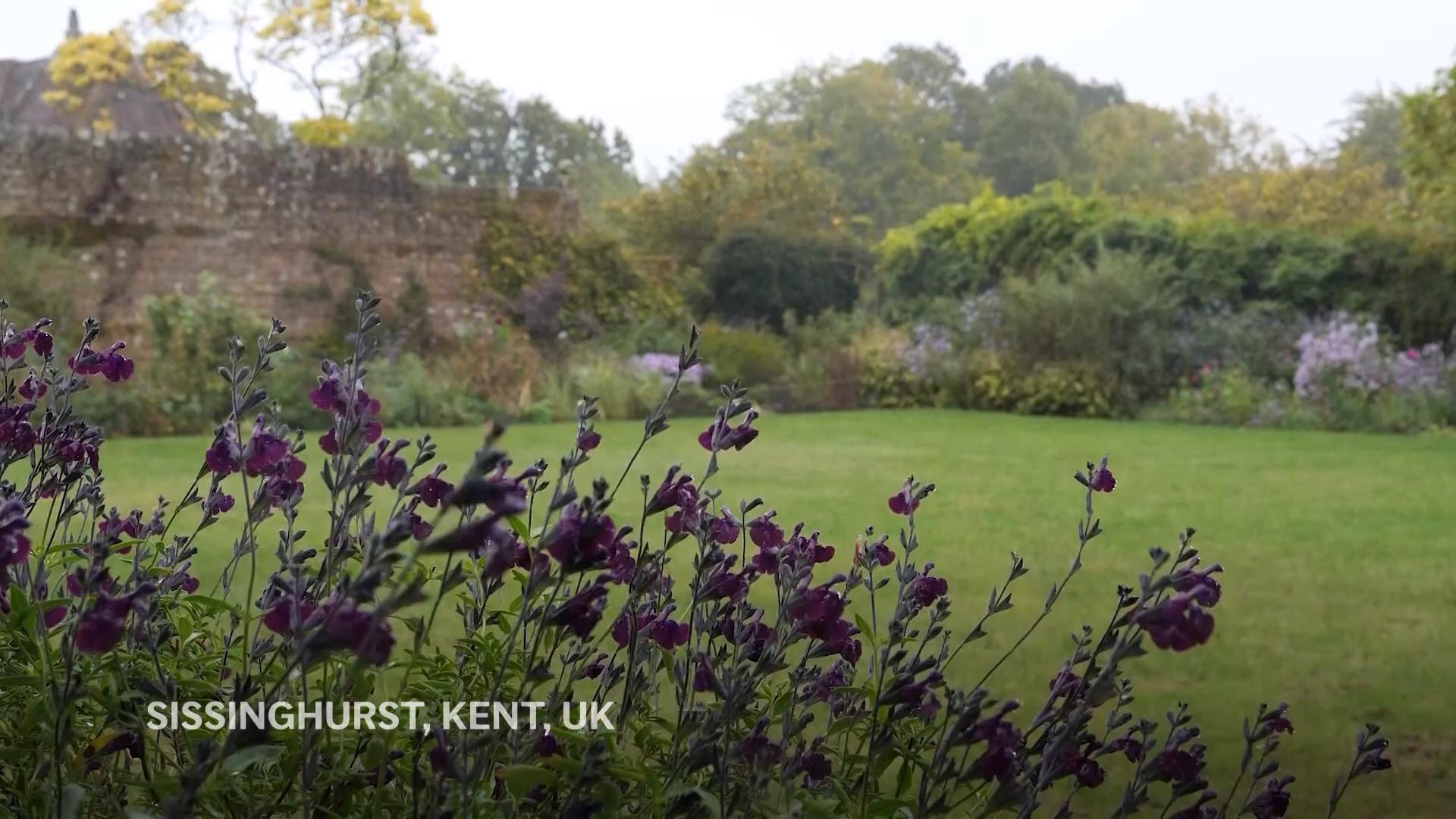Climate change leads to successful season for UK pumpkins and apples