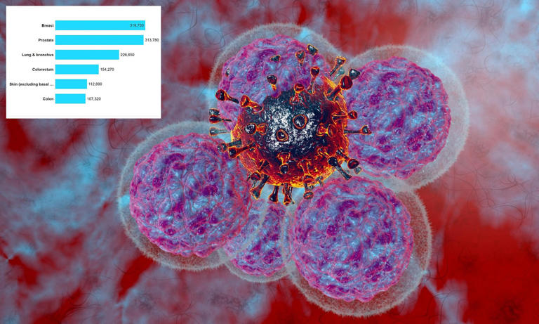 Scientists discover 'natural cancer killer' is 'safer and more ...