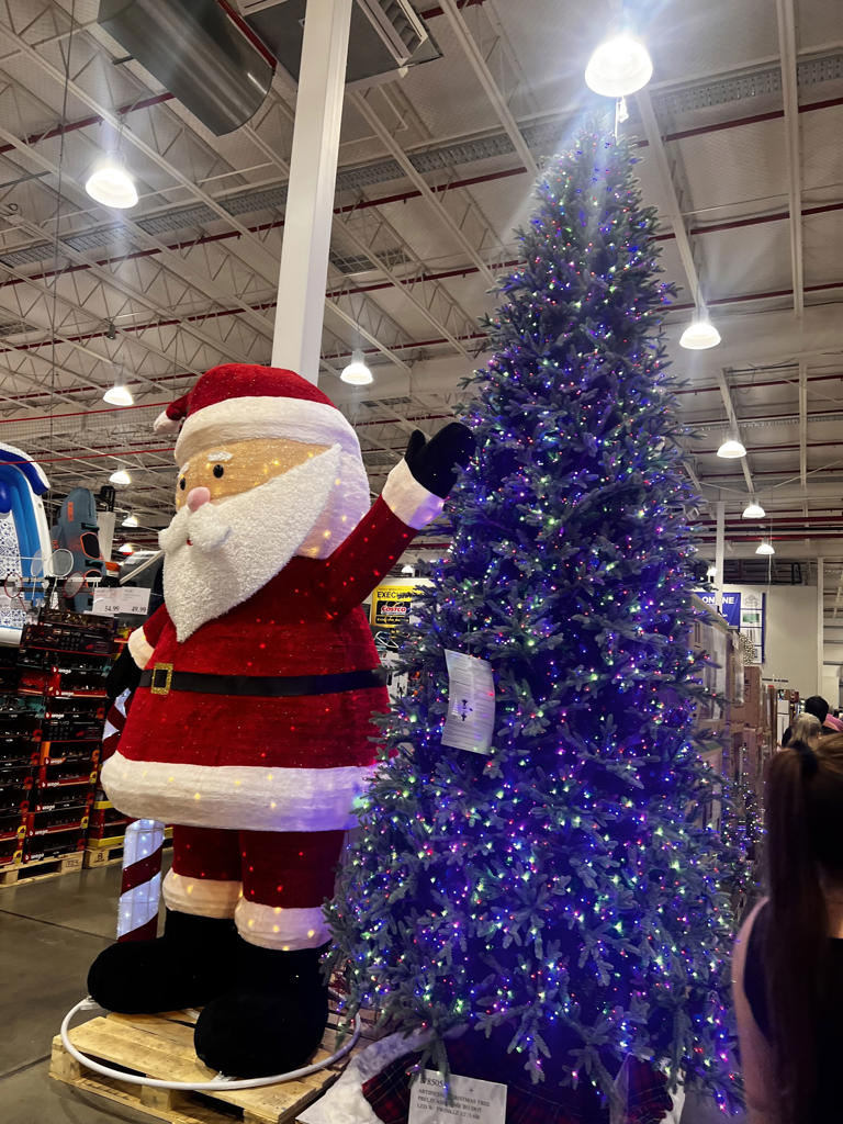 Supermarket Sleuths: Costco quietly introduces new entry requirement ...