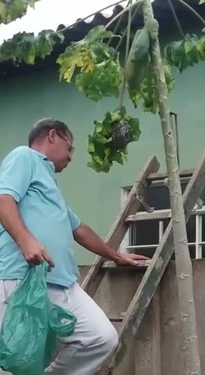 Guy Tries to Remove Wasp Nest