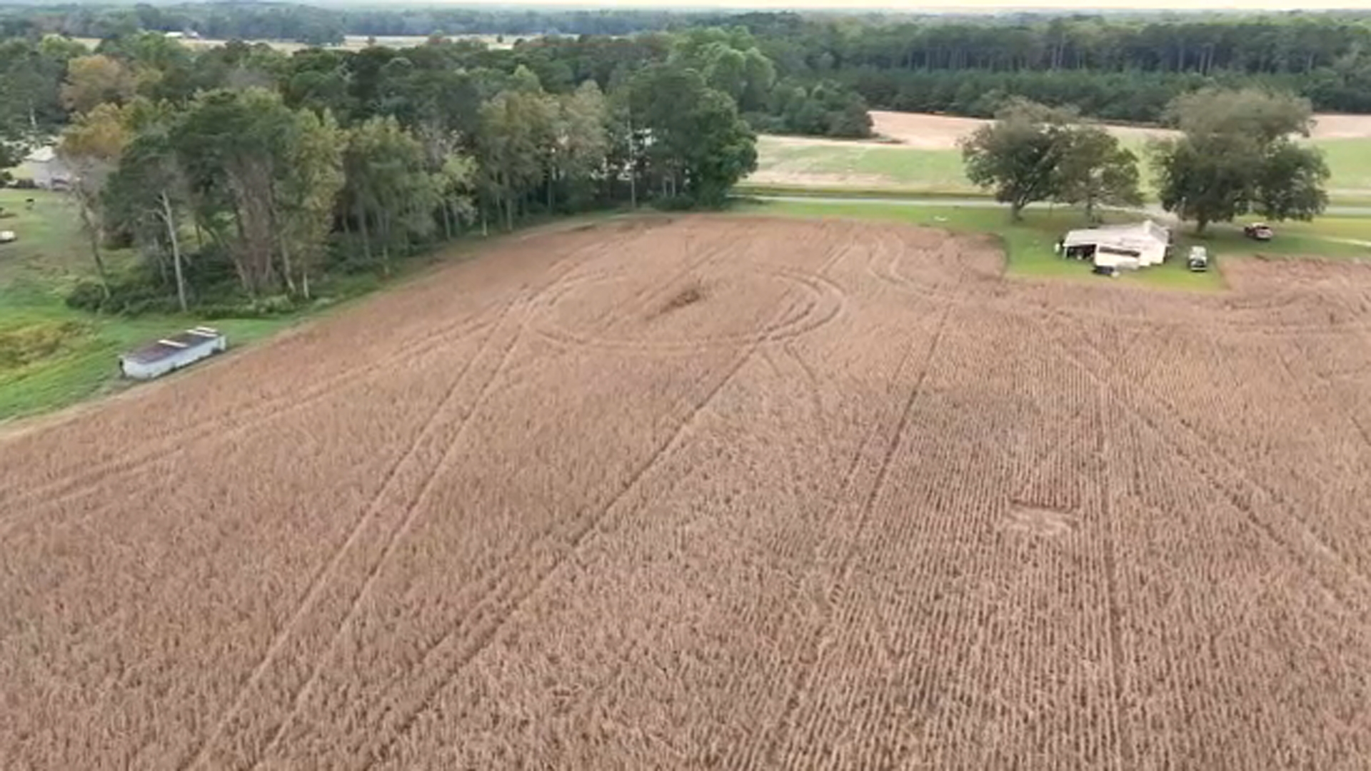 NC farmers say soybeans are latest casualty of trade war between U.S ...