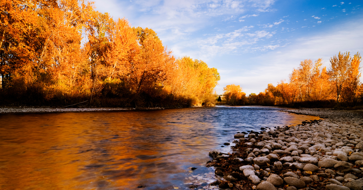 9 Quirky Facts About Idaho That Sound Made Up (But Are 100% True)