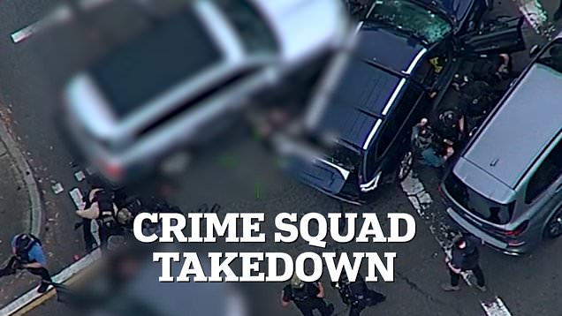 Aerial footage of organised crime squad arrested in Western Sydney