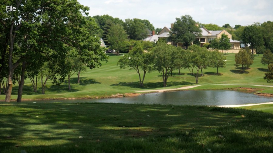 MeadowView partners discussing change in management structure