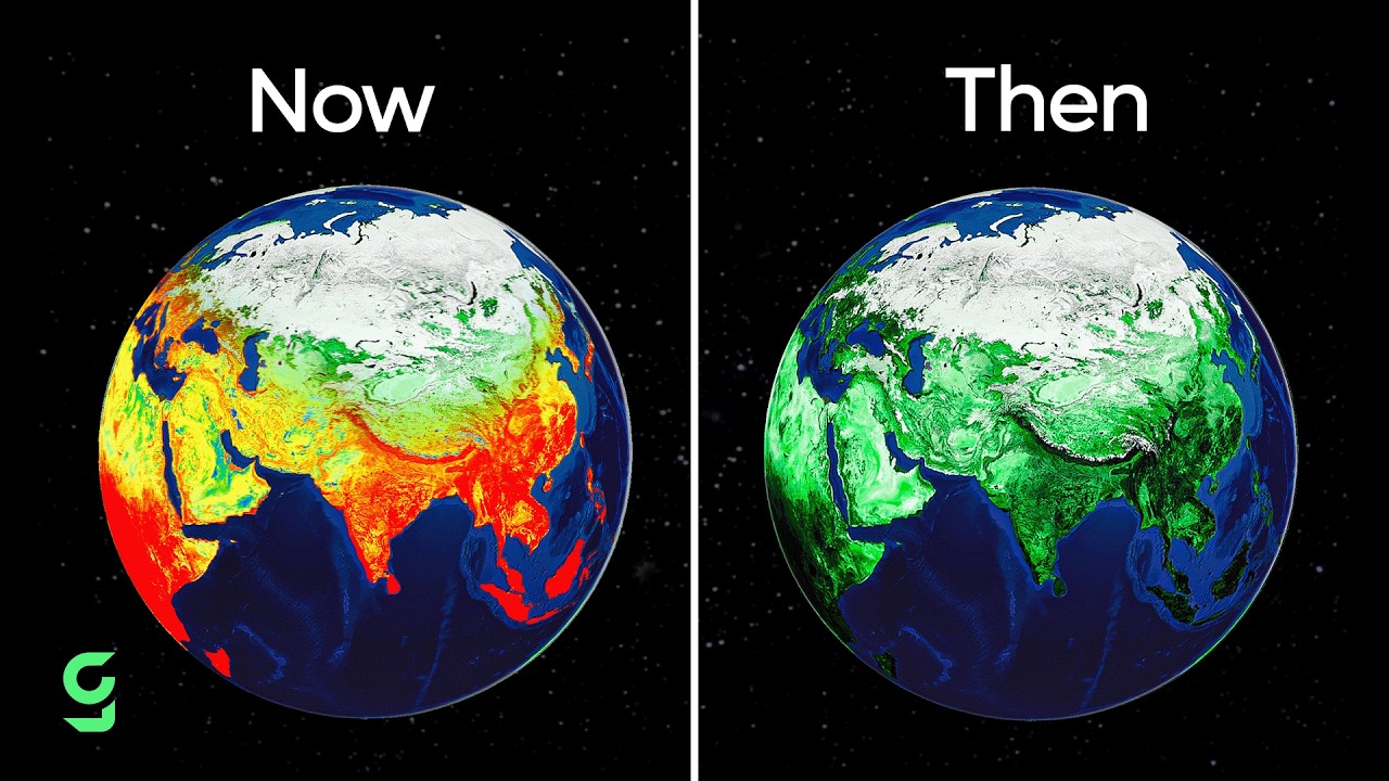 What could happen if we planted 1 trillion trees?
