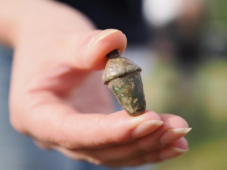 Incense bowl and helmet handle among finds at National Trust estate dig