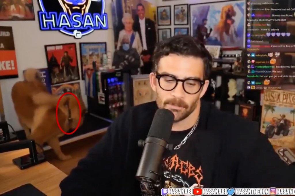 Lefty Twitch streamer Hasan Piker accused of activating his dog’s ...