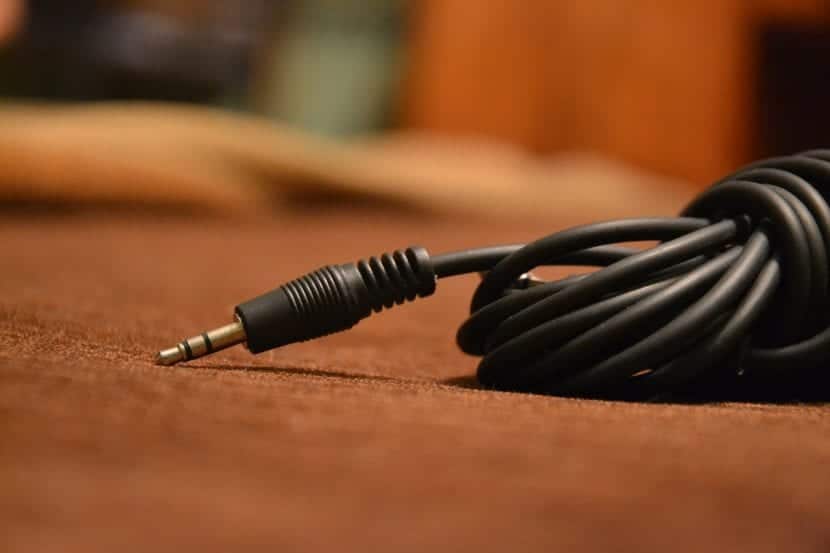 Por qué mi gato muerde los cables: causas, riesgos y soluciones prácticas