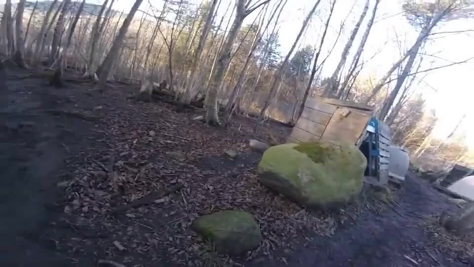Dog Lays in Mud and Demands Belly Rubs