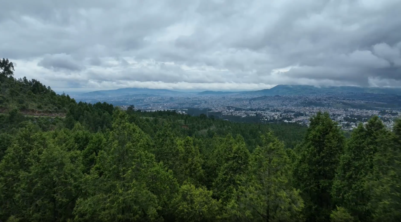 Foreign Residents Praise Addis Ababa’s Green Spaces, Welcoming Dwellers