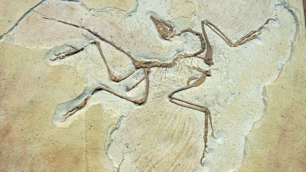 Scientists Discover 200-Year-Old Rock Art in South Africa Depicting ...