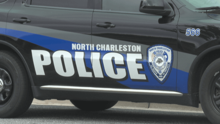 Convicted felon arrested in North Charleston for gun possession during ...