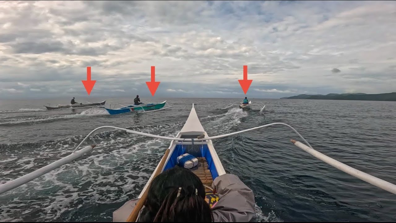 The stunning diversity beneath the waves 🌟