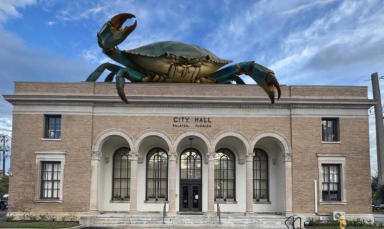 Blue crab festival returns with 'Comeback Crawl' theme after last year ...