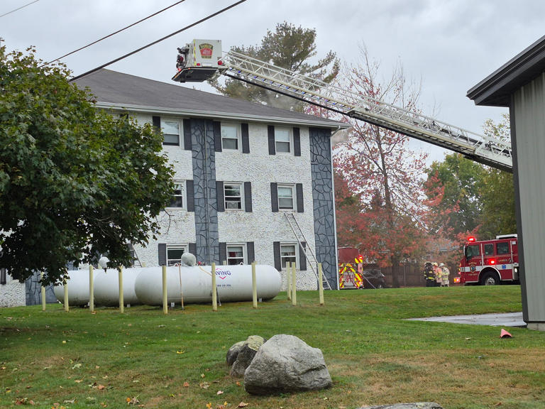 Cat rescued in accidental fire at Bangor apartment building