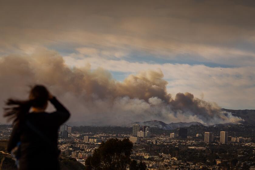 Florida man 'maliciously' started Palisades fire, then tried to cover ...