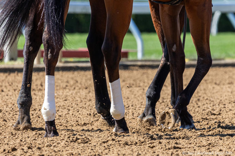 HBPA Pushing Back On HISA’s Sudden Death Report: Where’s The Science?