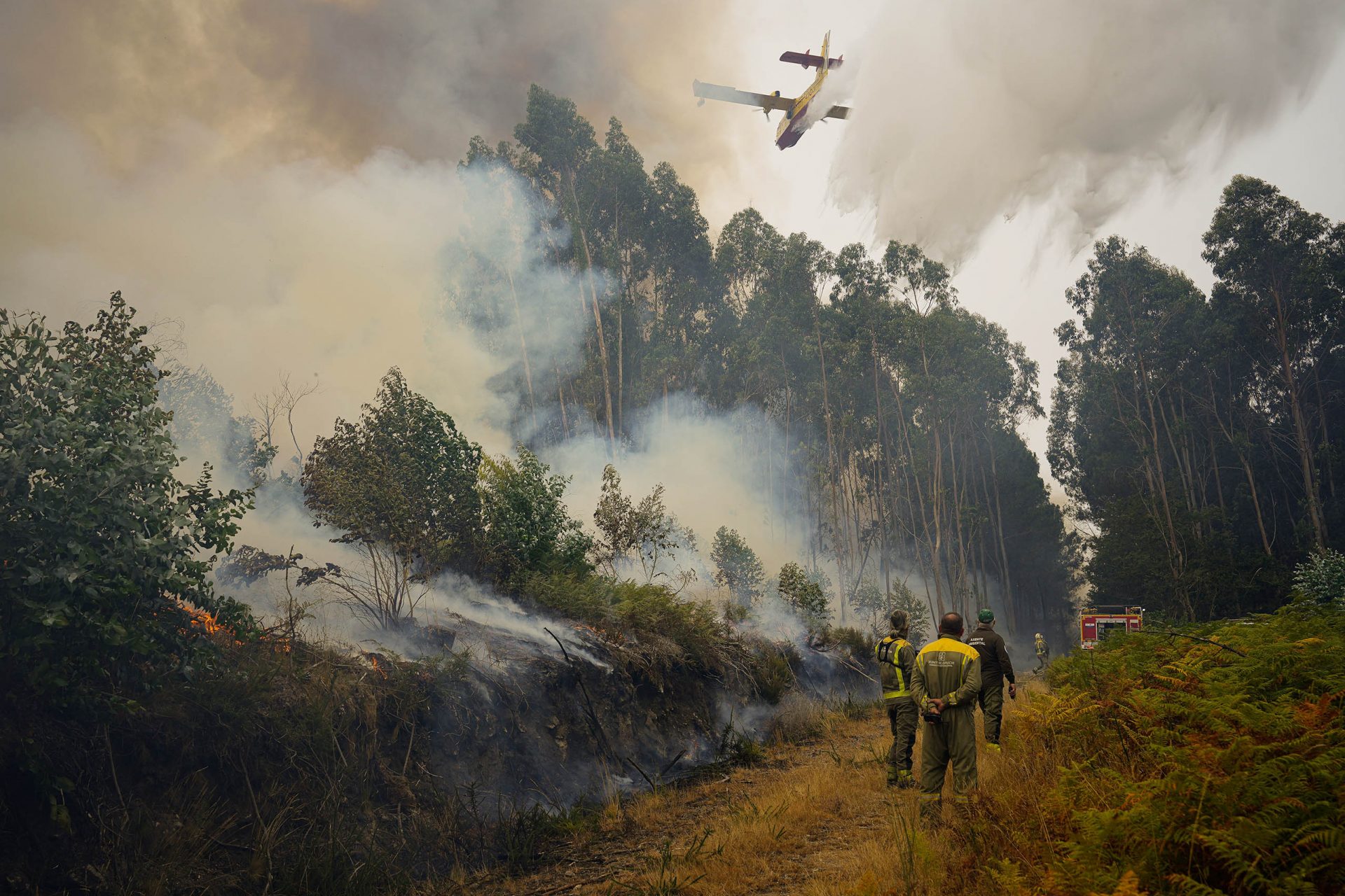 The era of catastrophic wildfires is here