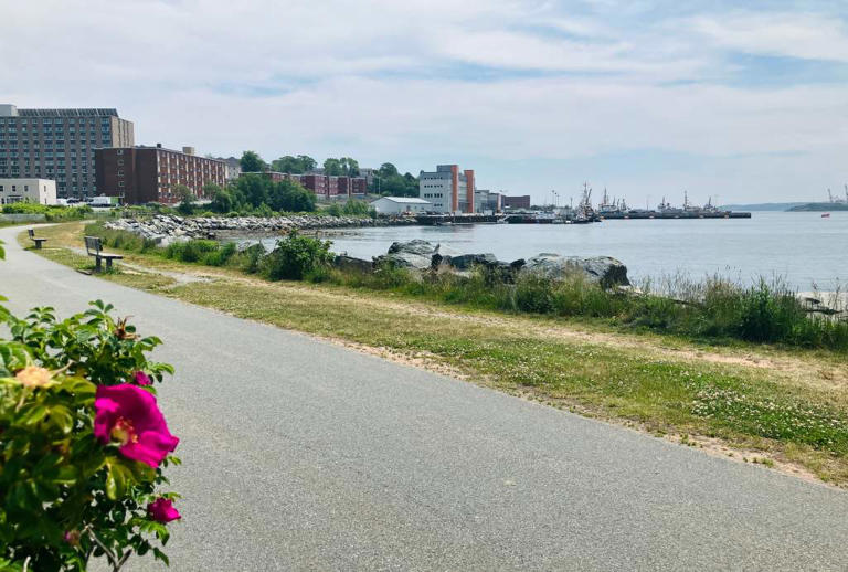 Advocates applaud Halifax council’s move to restrict Dartmouth Cove ...