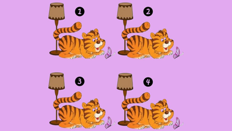 If You Possess Eyes Like a Hawk with Vision & 140+ IQ Level, then find ...