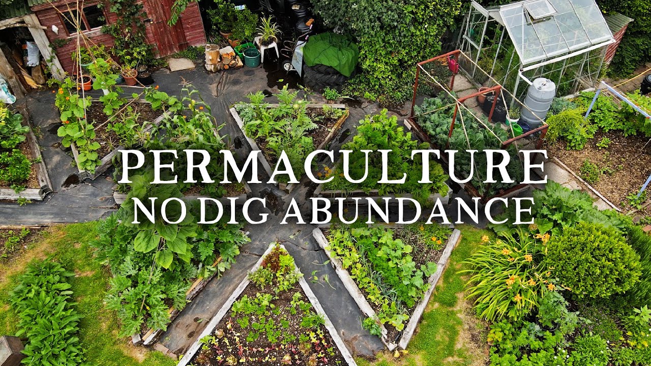 Beautiful no dig permaculture kitchen garden (small-scale potager style ...