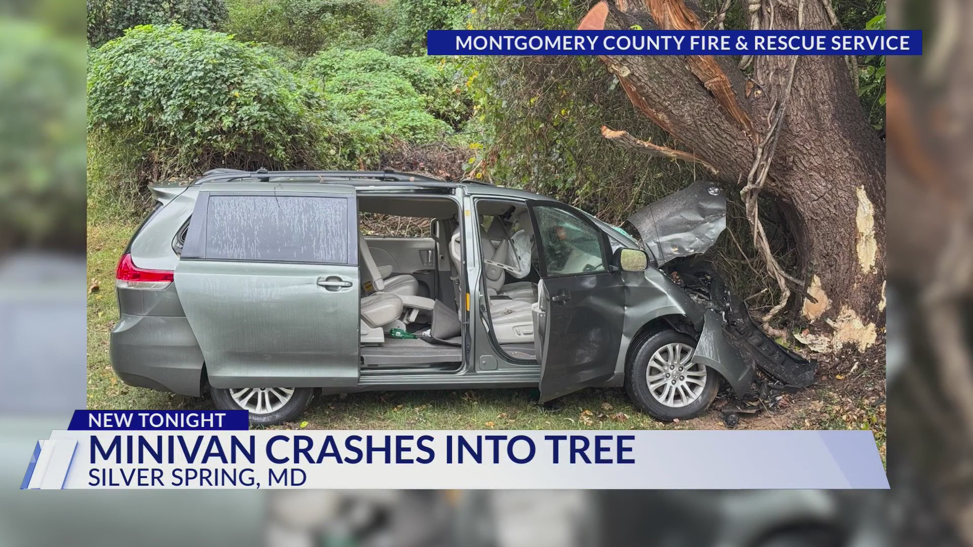 Adult, 2 children hurt after minivan slams into tree in Montgomery County