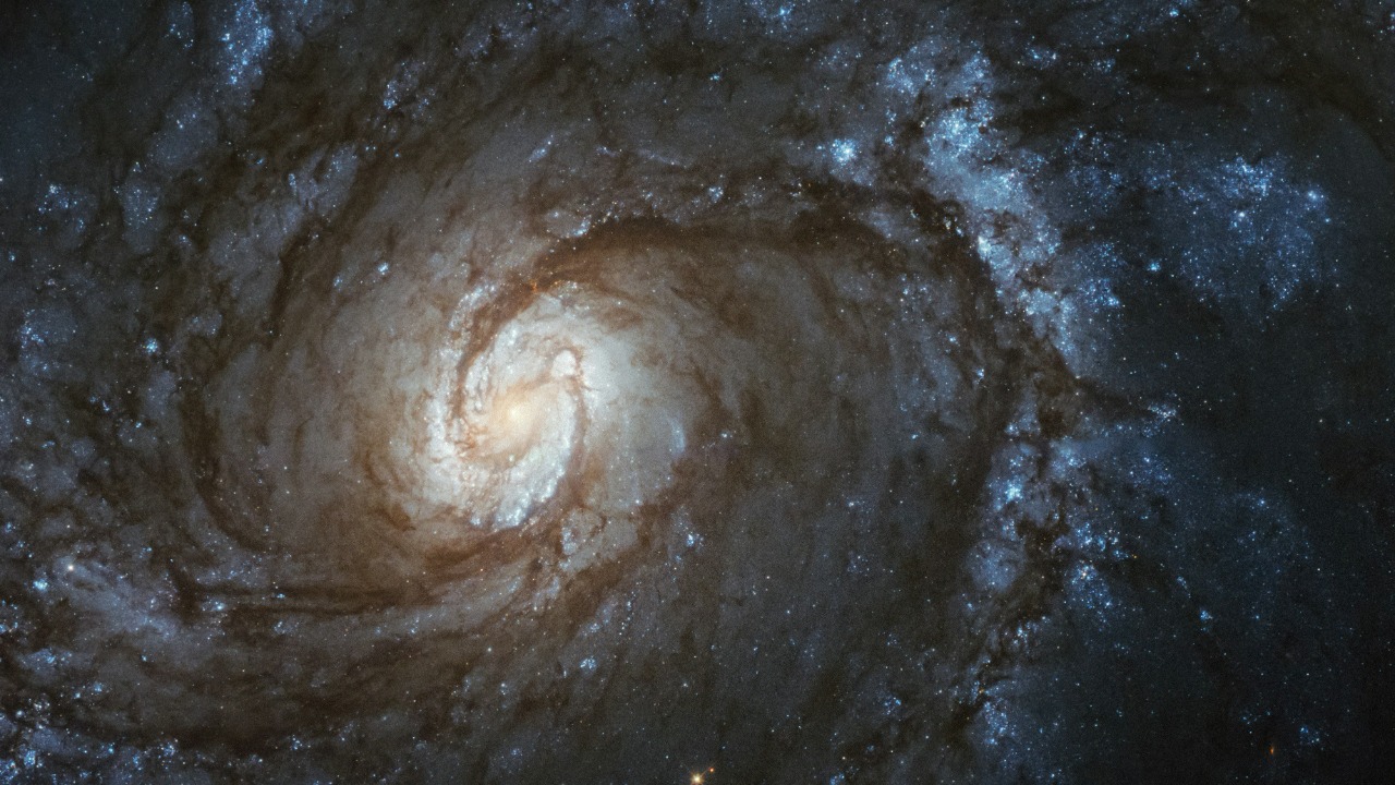 A giant ripple is shaking our galaxy, moving stars off track