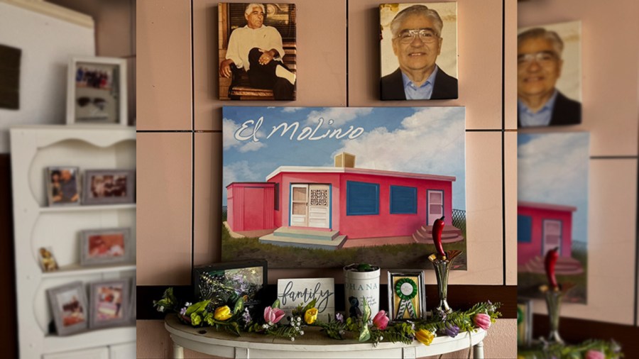 Chips, Salsa, Queso repeat at El Molino Tortillas