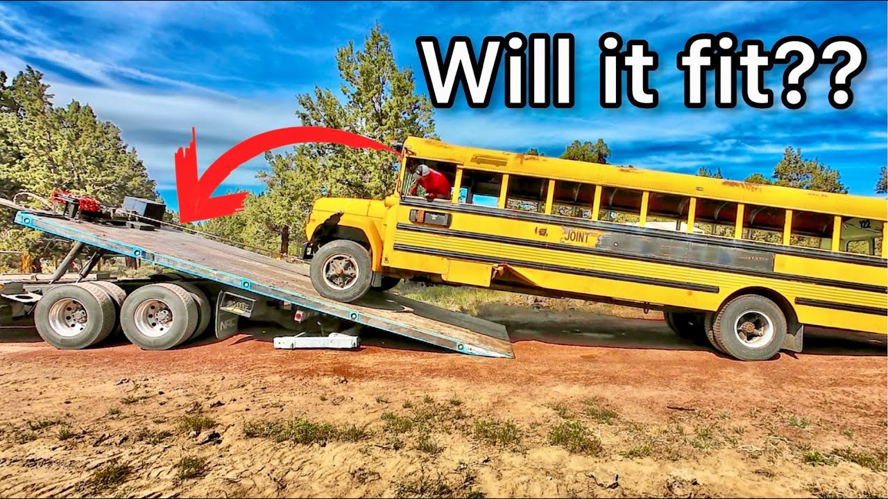 I got sidetracked on my driveway project