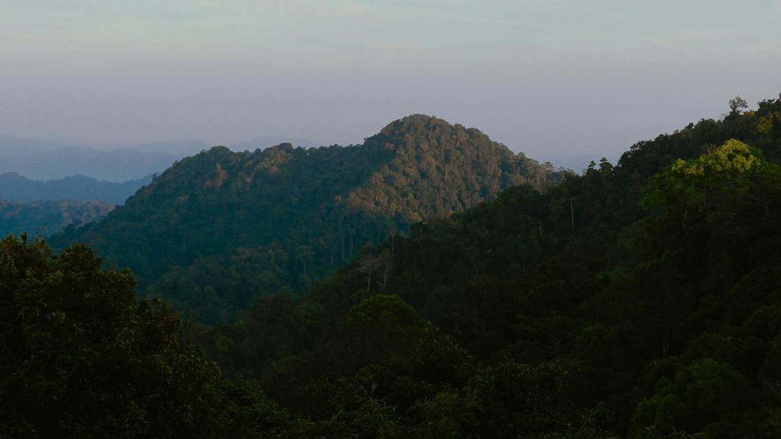 Elusive ‘moon' creature -that lives without a mouth -spotted in ...