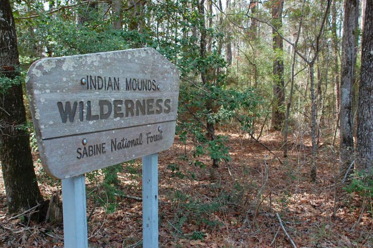 Texas' pristine wilderness at risk from new Republican border plan