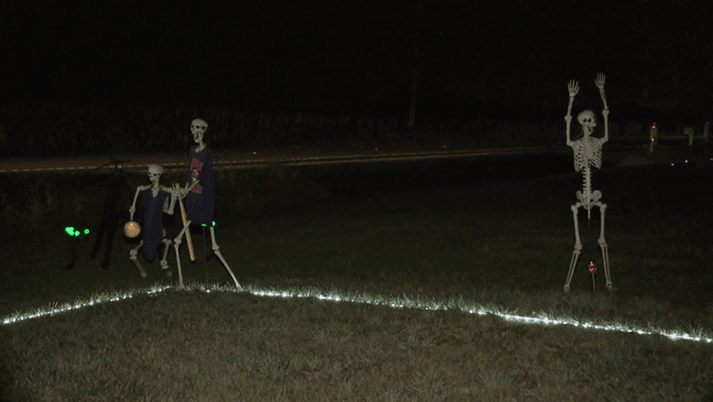 'Skeletons in the outfield': Paw Paw woman's Halloween display combines ...